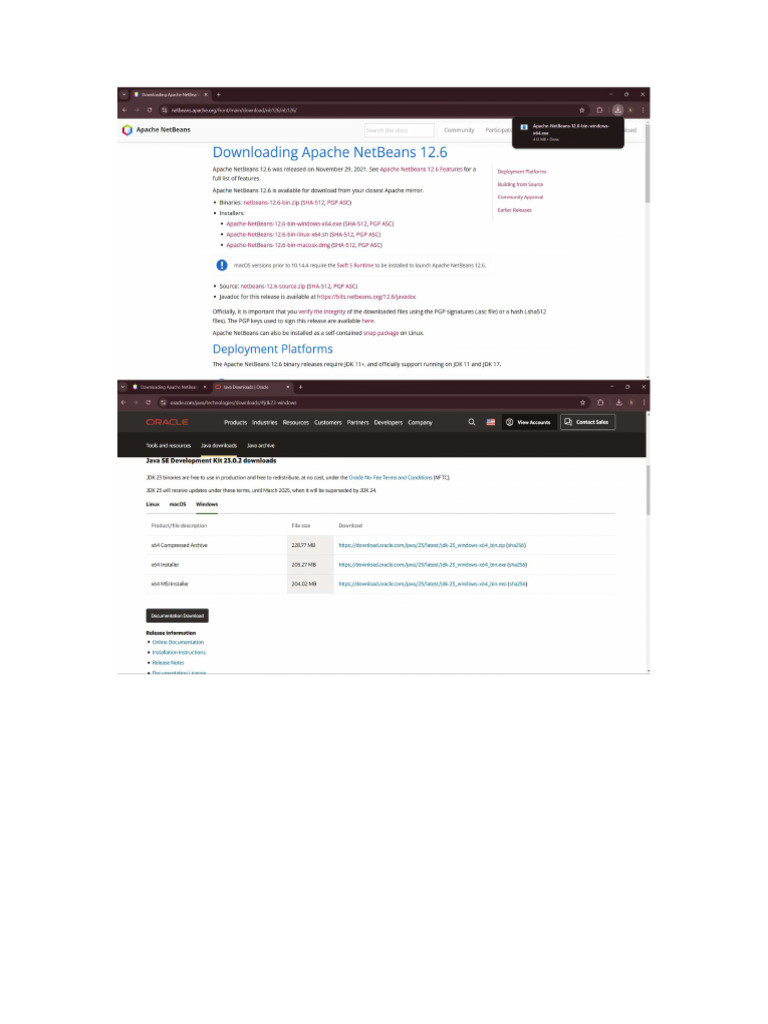 Netbean | PDF