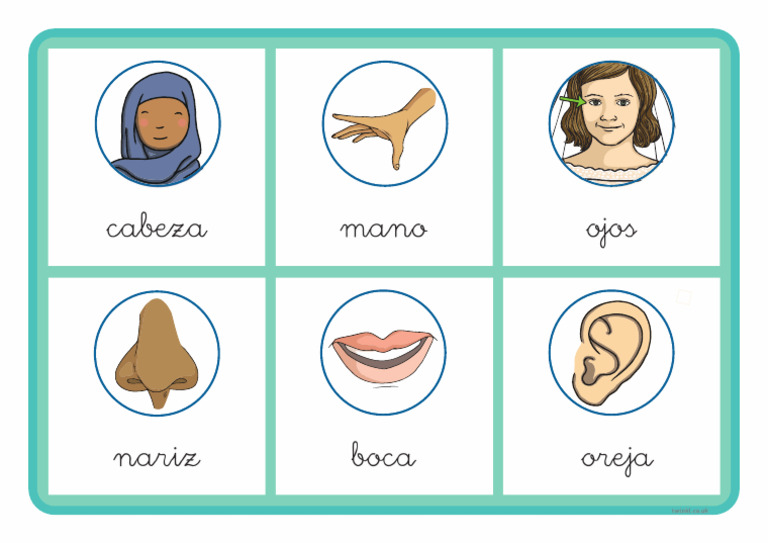 Bingo Partes Del Cuerpo | PDF