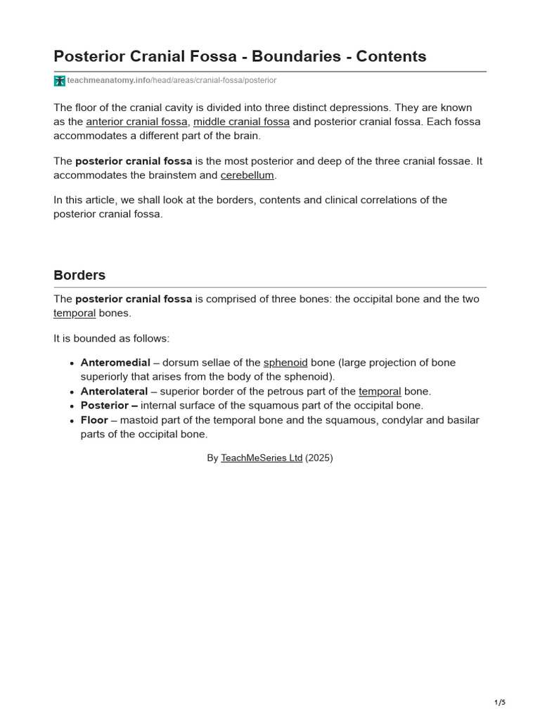 TMA-Posterior Cranial Fossa - Boundaries - Contents | PDF | Brainstem ...