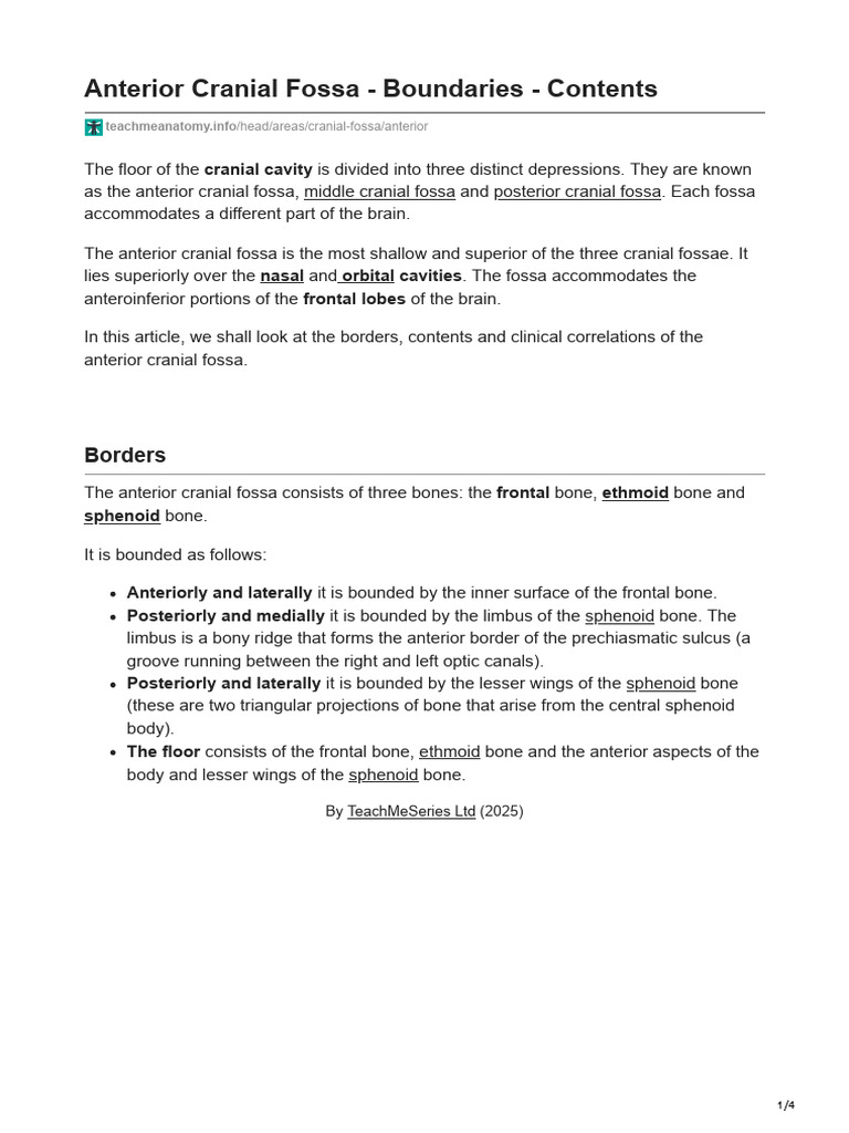 Anterior Cranial Fossa: Boundaries & Contents | PDF | Skull ...