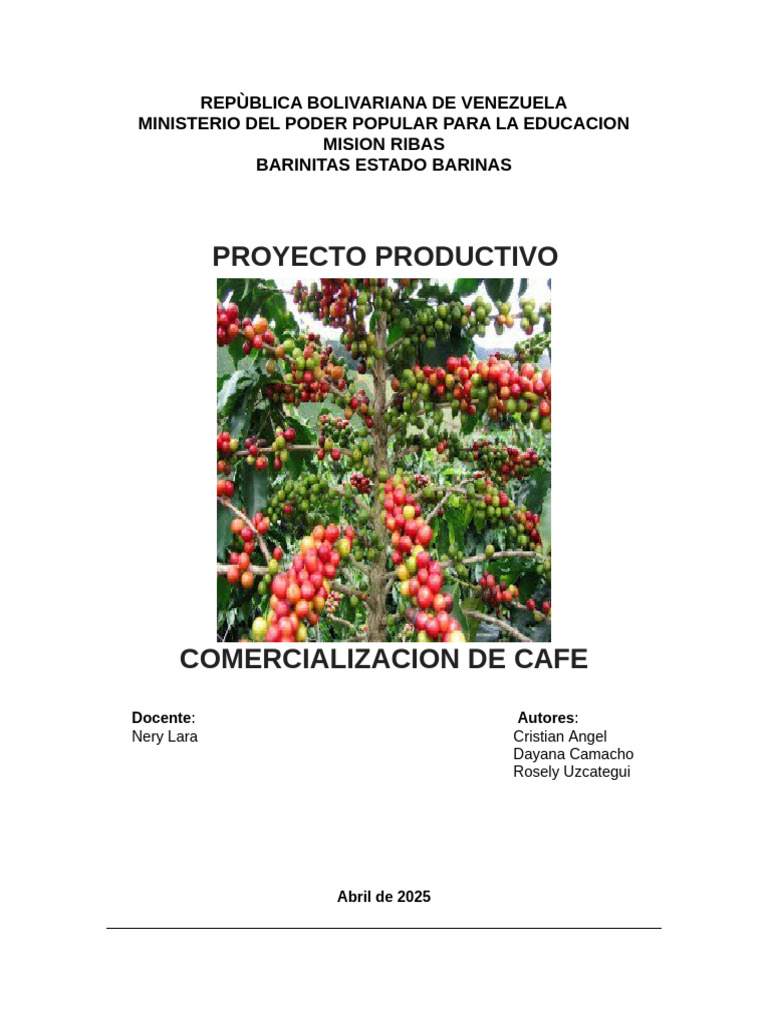 Proyecto Cafe Los Bucares 2 | PDF | café | Agricultura