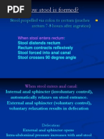 Stool Examination | PDF | Human Feces | Microbiology