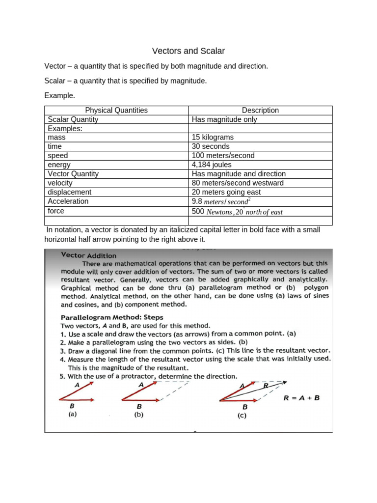Vectors and Scalar Handouts For Physics | PDF