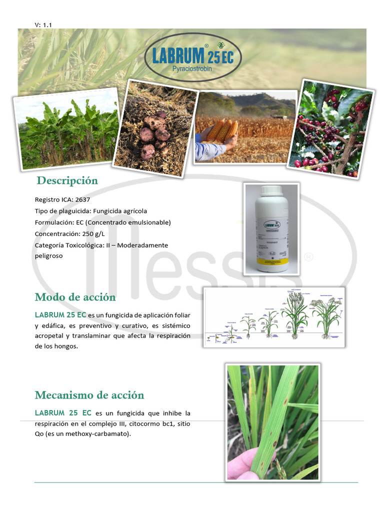 LABRUM 25 EC: Fungicida Acropetal Eficaz | PDF | Suelo | Pesticida