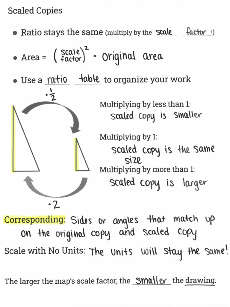 7th Grade Notes by Chapter | PDF