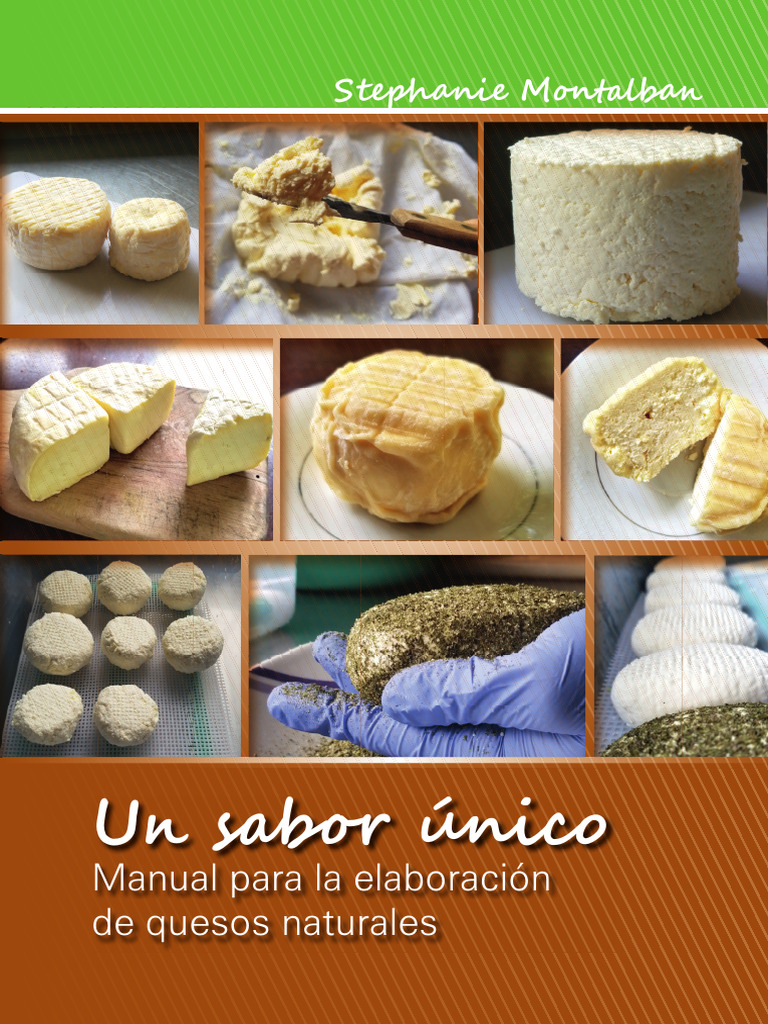 PDF-MANUAL-PARA-ELABORACION-DE-QUESOS-FINAL | PDF | Leche | Queso