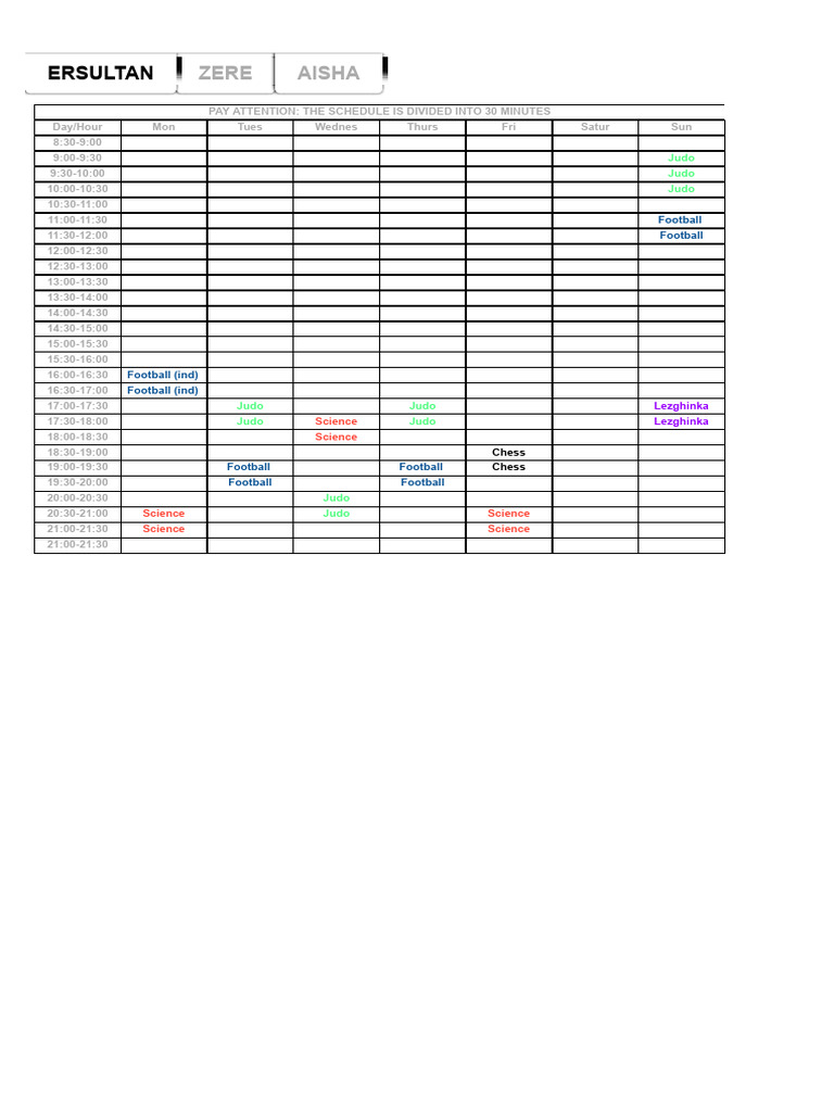 Weekly Activity Schedule Overview | PDF