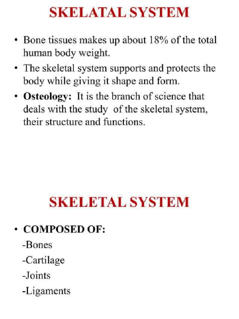 Skelatal System | PDF