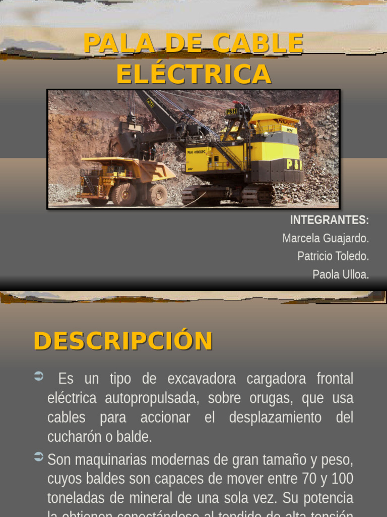 Pala de Cable Eléctrica: Uso y Mantenimiento | PDF | Rodamiento ...