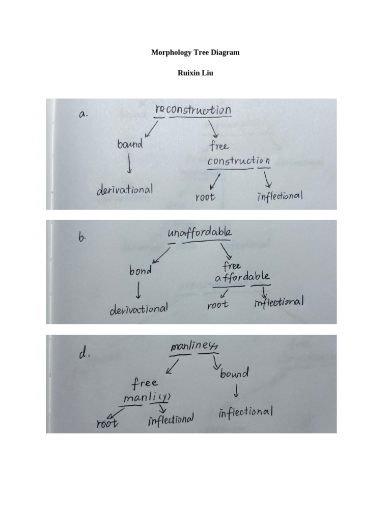 Morphology | PDF
