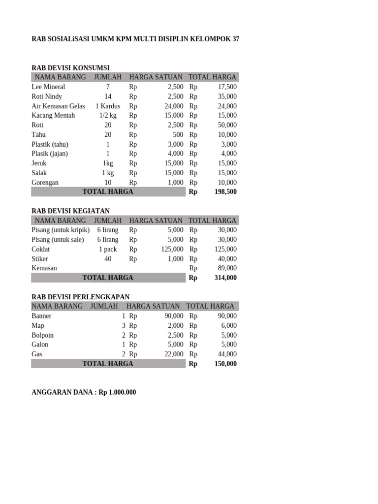 RAB SOSIALISASI UMKM (PROKER UTAMA) | PDF