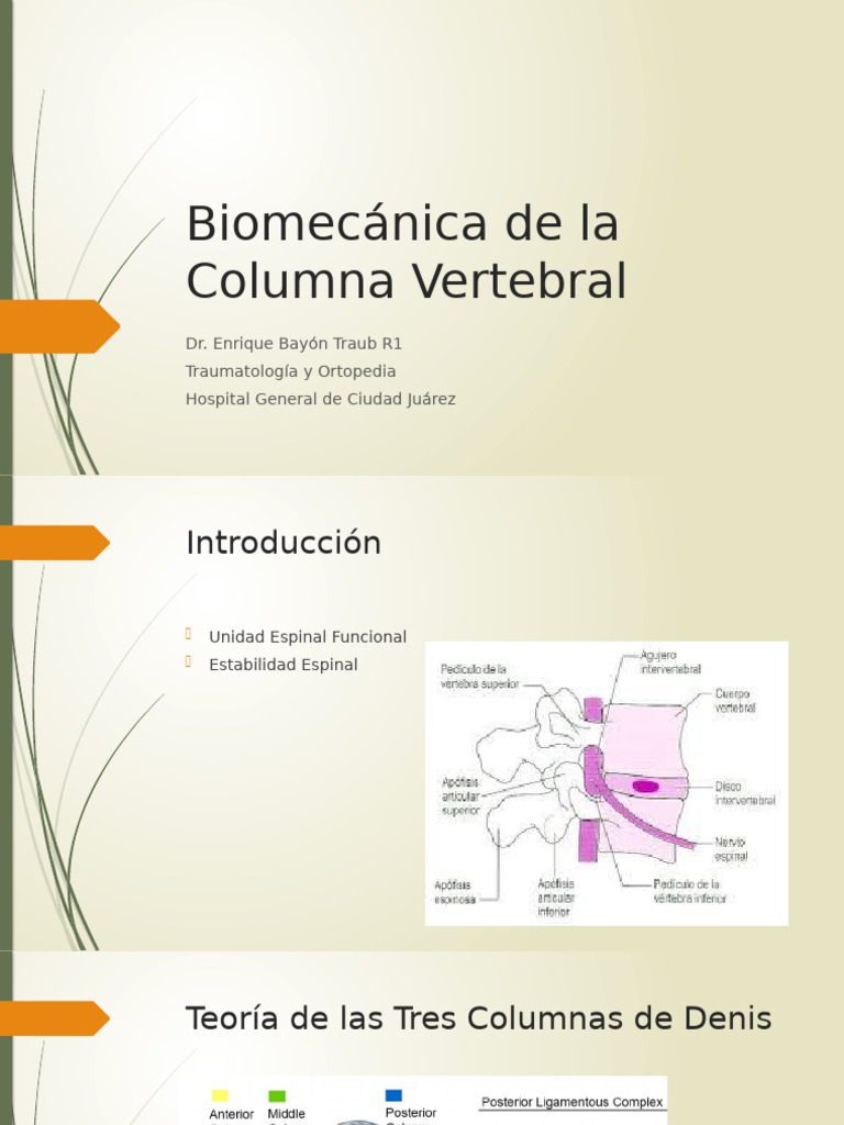 Biomecánica de la Columna Vertebral | PDF