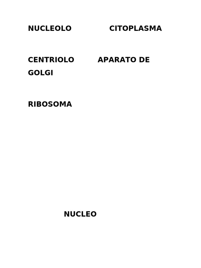 Nucleolo Citoplasma | PDF