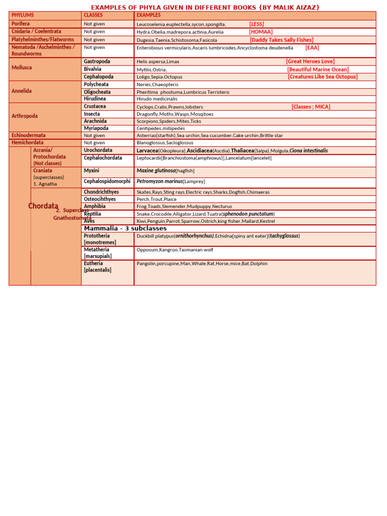 Phyla Examples in Various Taxa | PDF | Zoology