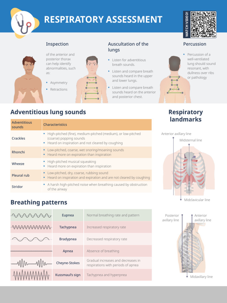 Respiratory Assessment and Lung Sounds Guide | PDF | Breathing ...