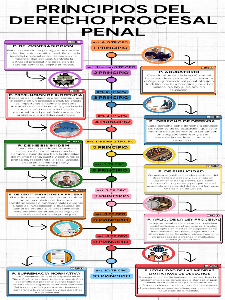 Infografia de Los Principos Del Derecho Procesal Penal | PDF | Ley procesal | Mandato