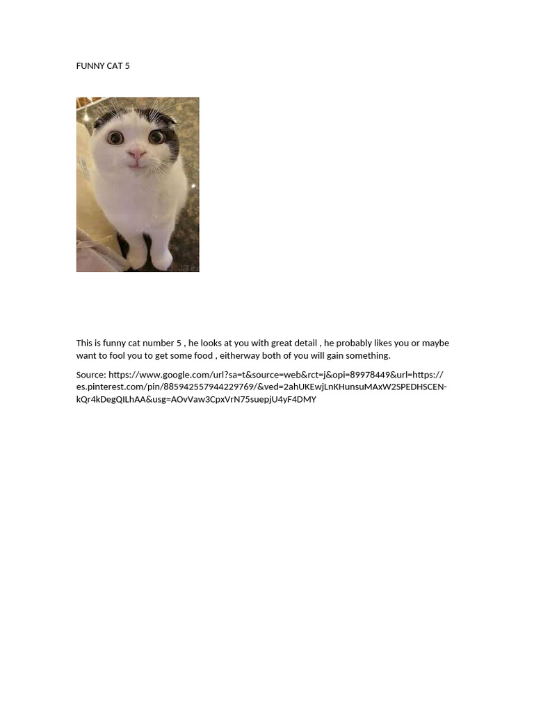 Funny Cat 5 | PDF