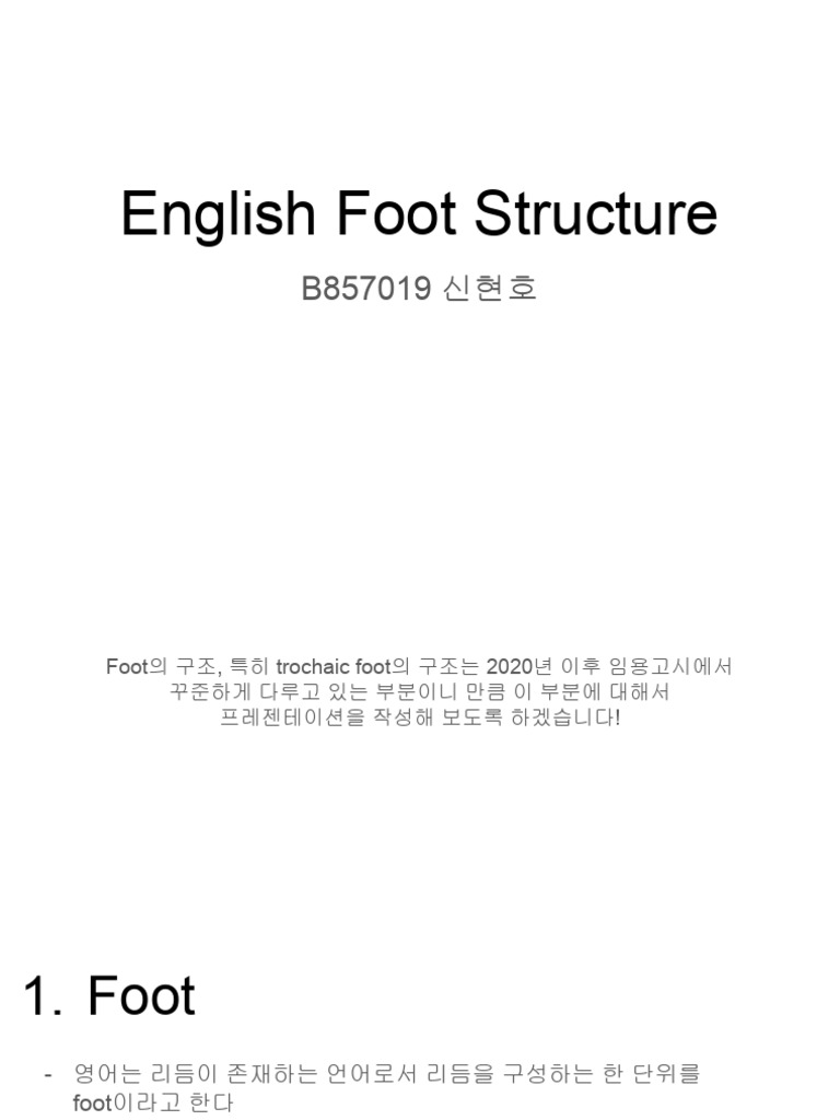 Foot Structure | PDF