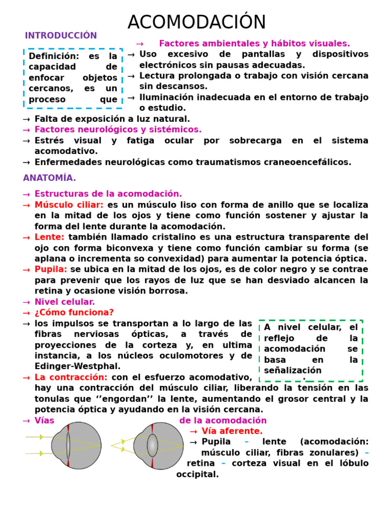 Guia Oftalmo Segundo Parcial | PDF | Miopía | Ojo humano