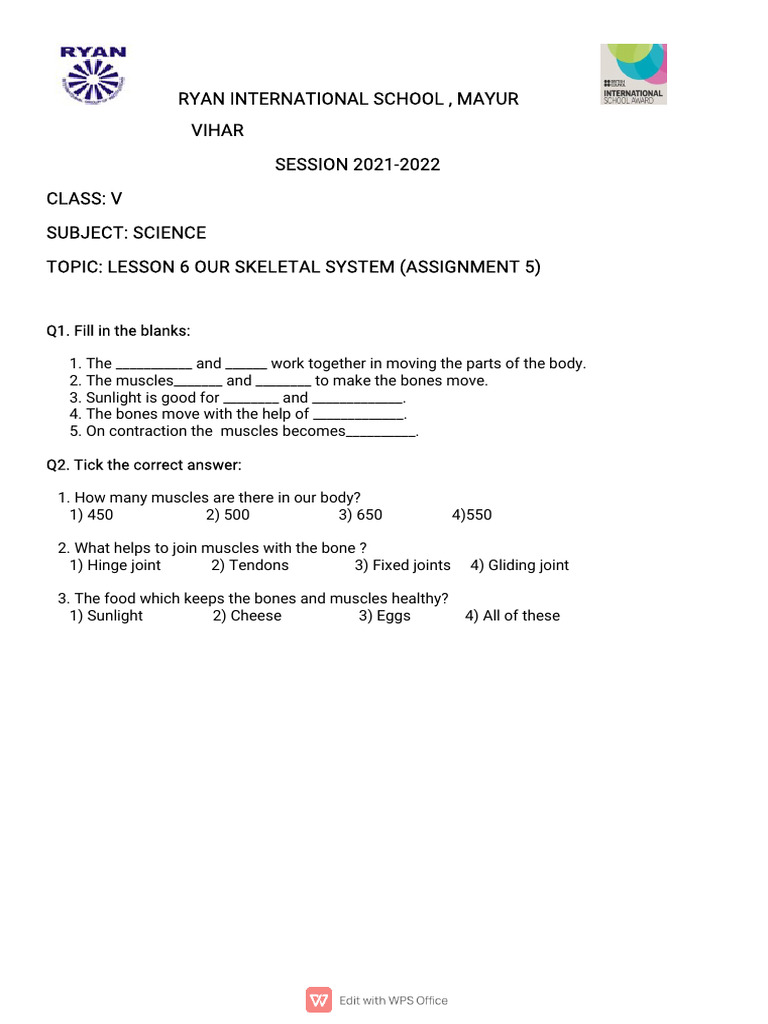 STD5L 6assignment5 | PDF