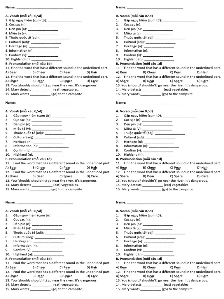 Vocabulary and Pronunciation Exercises | PDF