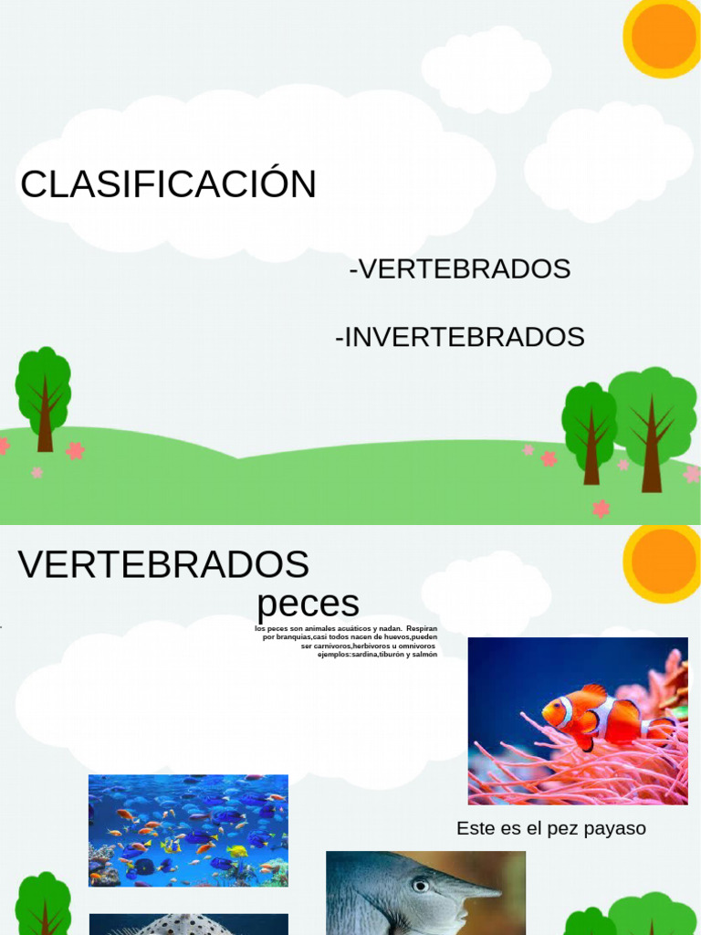 Clasificación de Vertebrados e Invertebrados | PDF | Branquia | Reptil