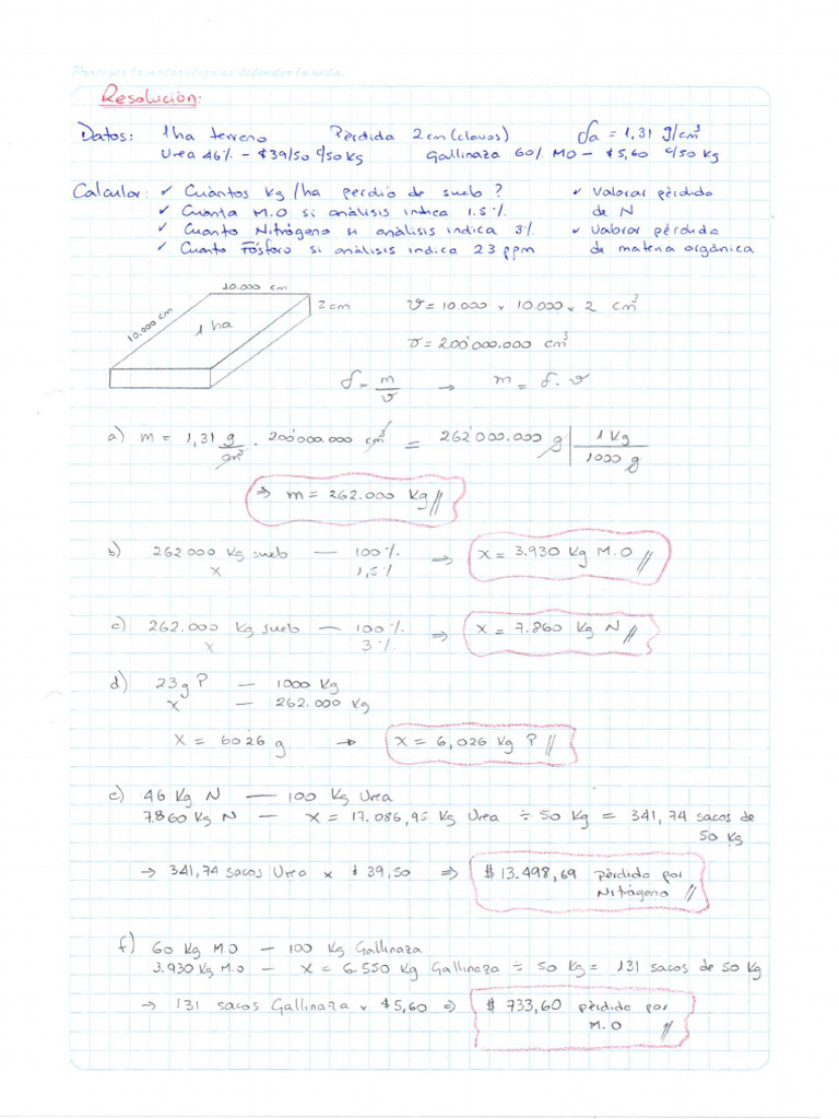 Deber 2 Forrajes | PDF