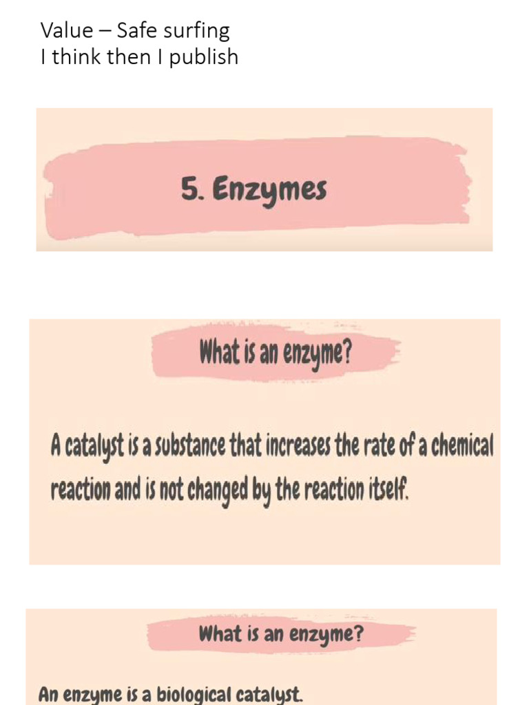 Yr 10 Biology Cie CH-5 Enzyme | PDF