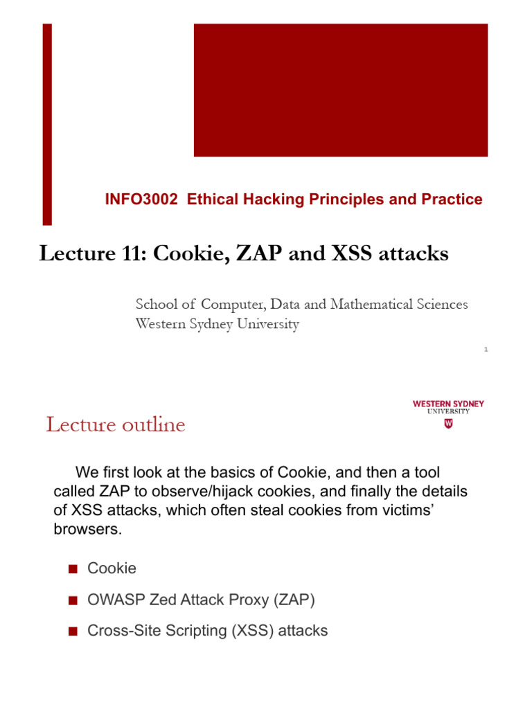 ZAP and XSS Attack Fundamentals | PDF | Http Cookie | World Wide Web