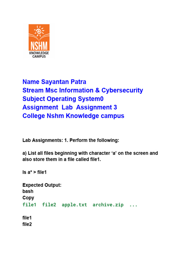 Sayantan Patra Os Lab3 | PDF | Filename | Text File