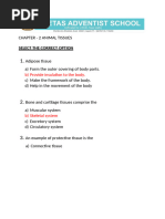 Class9 Animal Tissues Worksheet | PDF | Connective Tissue | Tissue ...