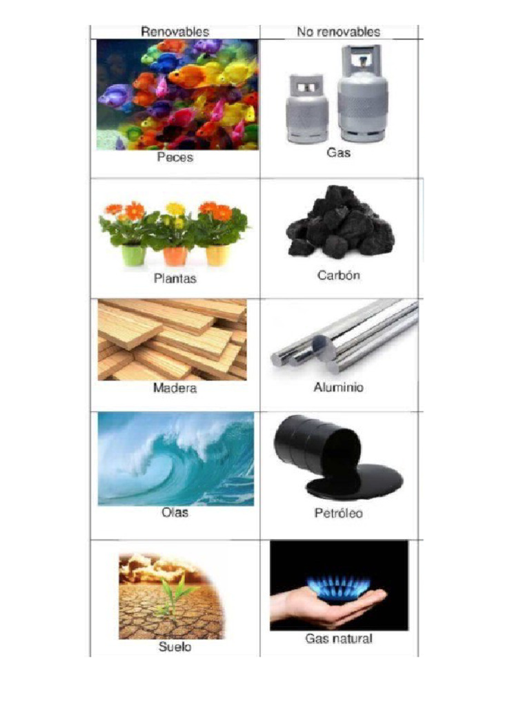 Recurso Renovalbes y No Renovables | PDF