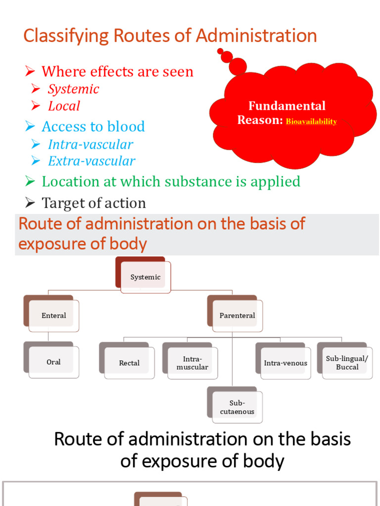 Routes of Drug Administration Explained | PDF | Bioavailability ...