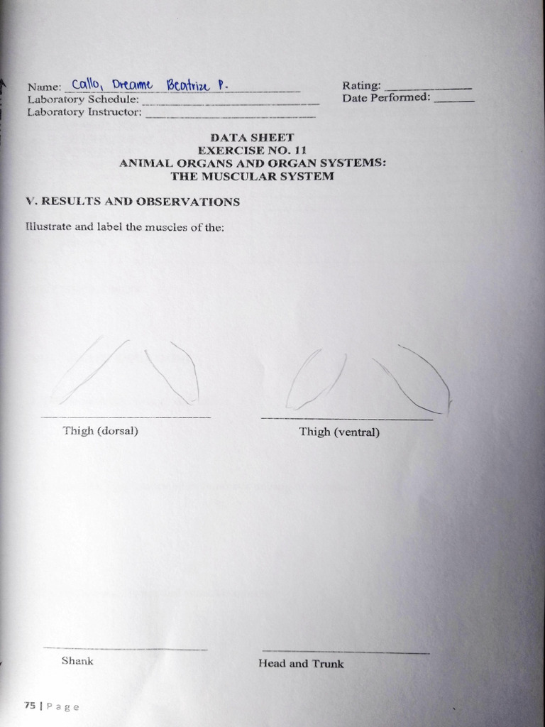Scan 19 Oct 24 14 50 18 | PDF | Endocrine System | Animal Anatomy