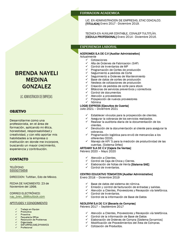Brenda Nayeli Medina Gonzàlez CV | PDF | Business