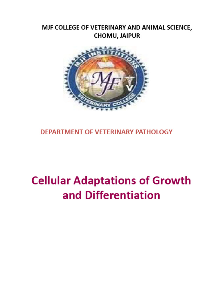 1716965267.11 Cellular Adaptations of Growth and Differentiation | PDF ...