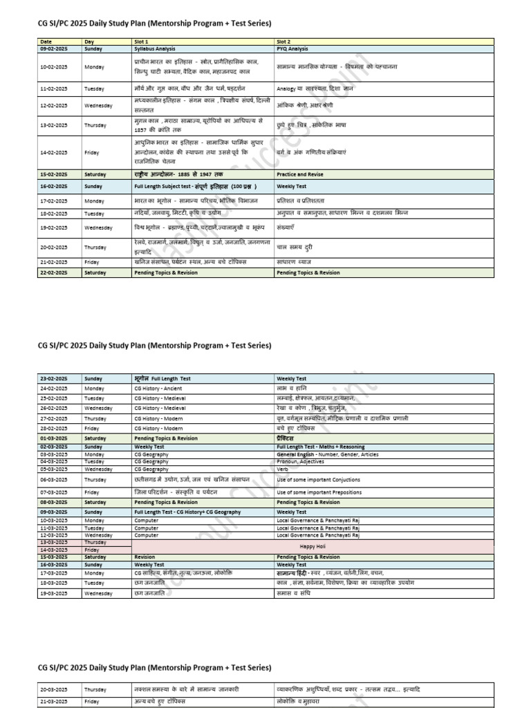 CG Sub Inspector Mentorship Batch - 2025 - Syllabus | PDF