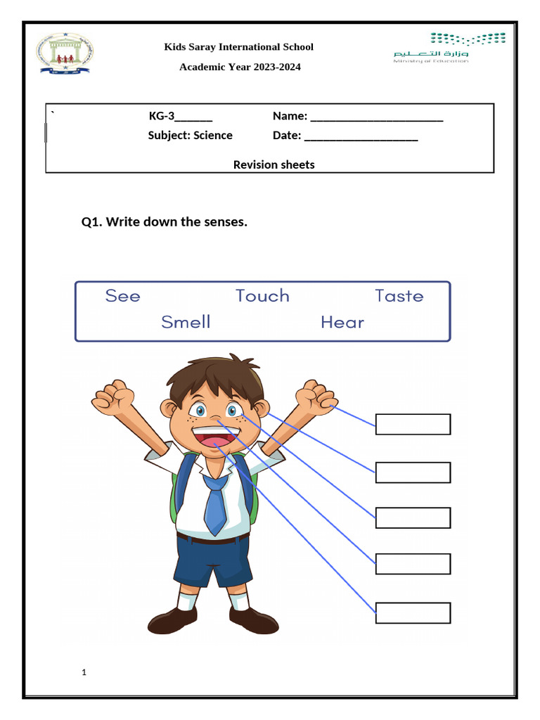 science revision sheets | PDF