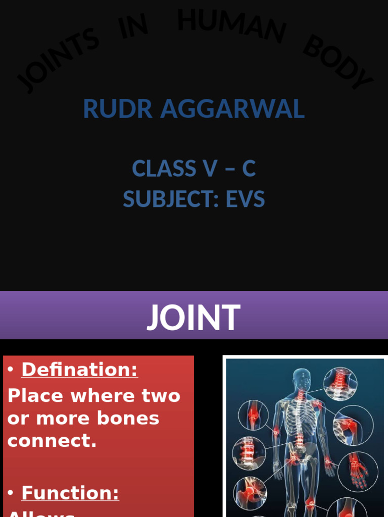 Joints in Human Body | PDF | Joint | Shoulder