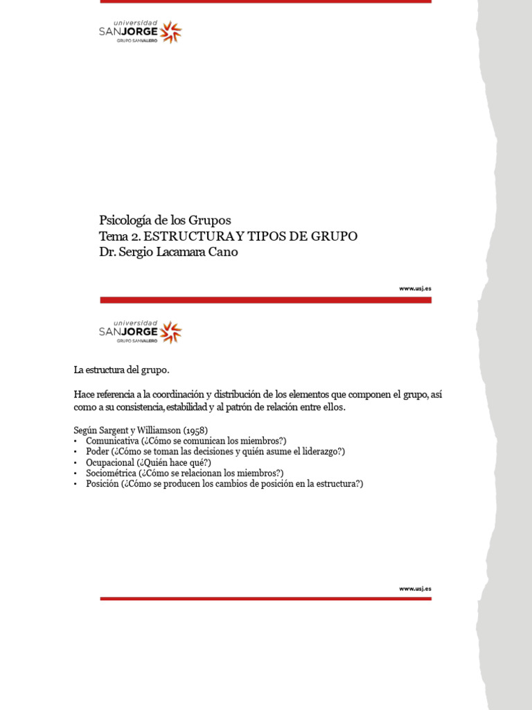 TEMA 2 - Estructura Grupal | PDF | Comportamiento | Conceptos psicologicos