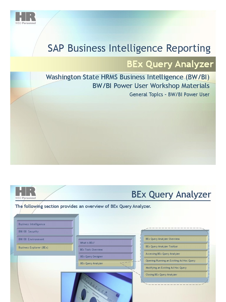 SAP Business Intelligence Reporting SAP Business Intelligence Reporting ...