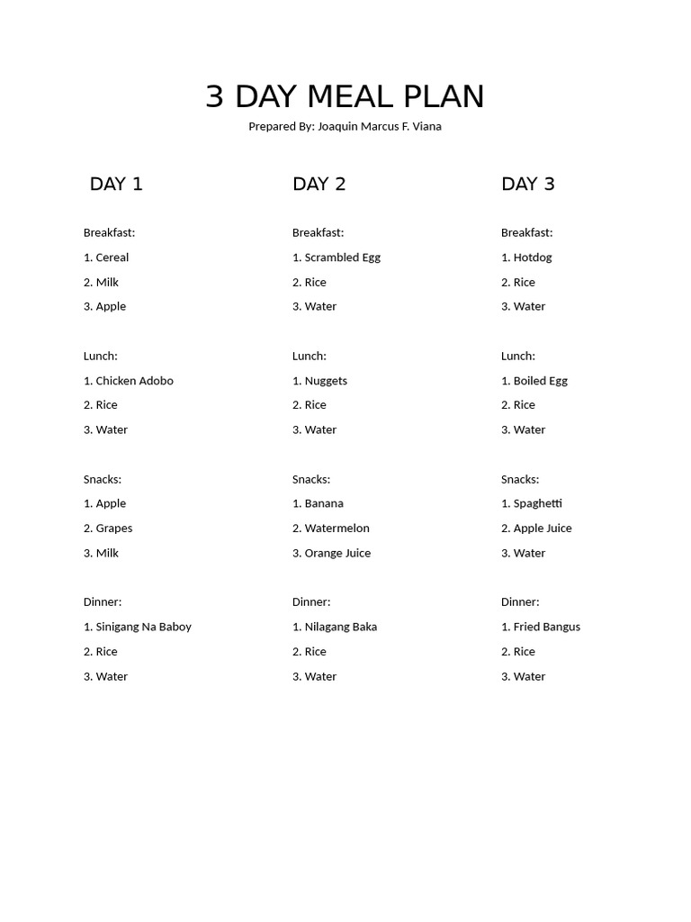 Viana - Health PT - 3 Day Meal Plan | PDF