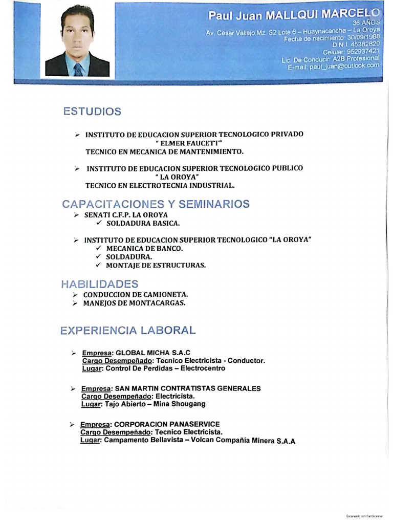 CV Paul Mallqui | PDF