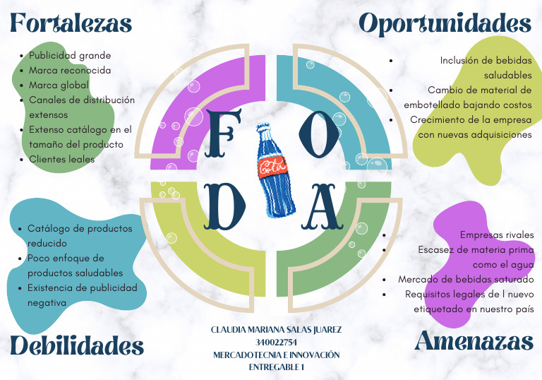 Entregable - 1 - Claudia Mariana Salas Juarez | PDF