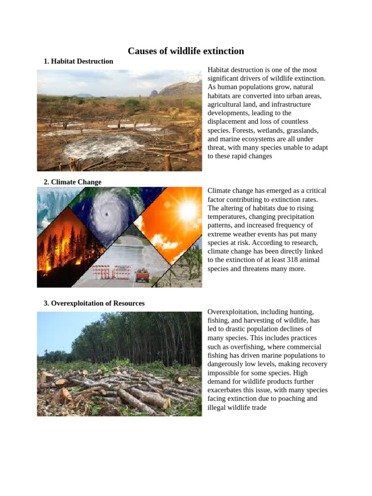 Causes of Wildlife Extinction | PDF | Wildlife | Extinction