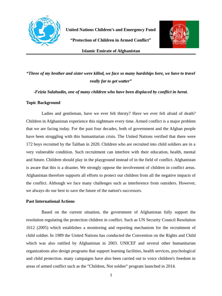 Afghanistan Position Paper | PDF | Afghanistan | United Nations