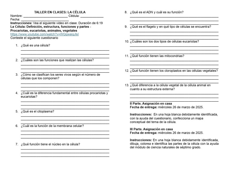 Taller en Clases CN7 Tema 1 | PDF | Biología Celular) | Eucariotas