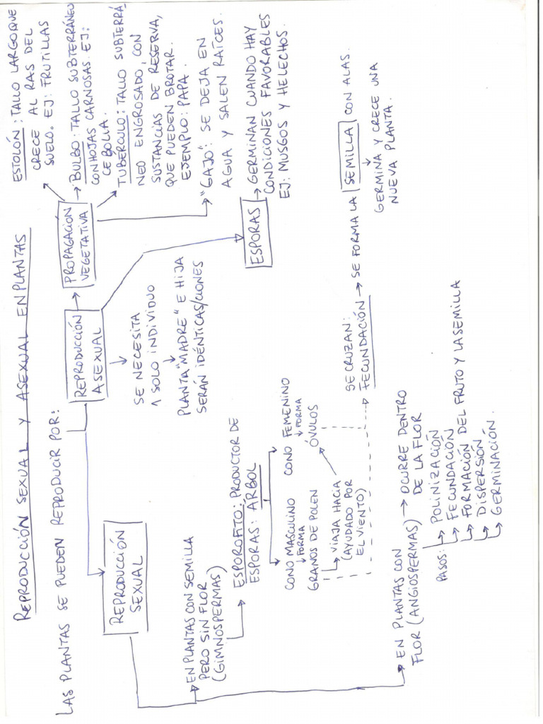 Reproduccion en Plantas | PDF