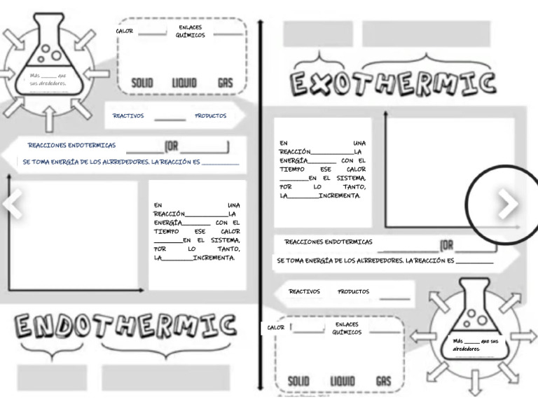 Material Recc Exo Endo | PDF