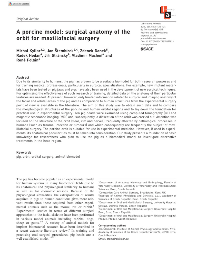 A Porcine Model Surgical Anatomy of The Orbit For Maxillofacial Surgery ...